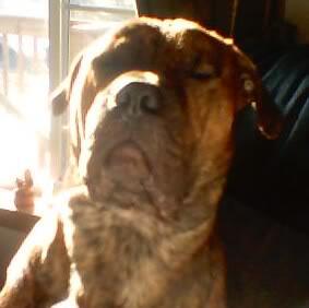 A Tearful Goodbye ~ Sadku Style - a poem by Awesomax - All Poetry