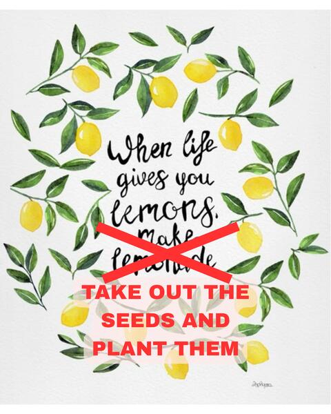 When Life Gives You Lemons - a poem by Morpheus of Ormaphea - All Poetry