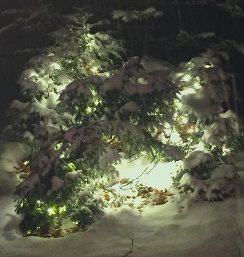 An Escape With You - a poem by All Red Jay - All Poetry