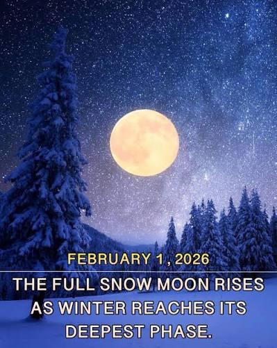 Snow Moon - a poem by MinnieBee - All Poetry