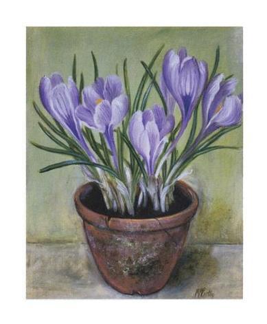 ~~The Crocus Spring's First Flower~~ - a poem by Blushfulmoon - All Poetry