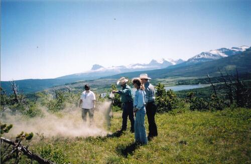 Whispering Pines - a poem by Rory Duce - All Poetry