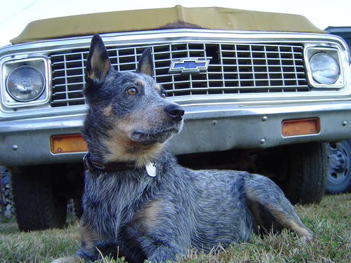 Rory Duce - poet at allpoetry