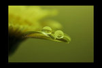 Mellow - a poem by grannyeri - All Poetry