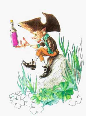 Leprechaun Confusion - a poem by Amera - All Poetry
