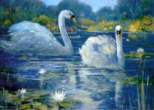 The Graceful Swan - a poem by qnhoneybee - All Poetry