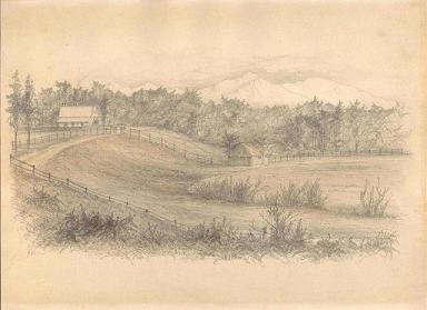 A Kiwi Family Story. - a poem by Hugh Wyles - All Poetry