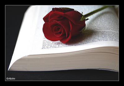 Pressed in Pages - a poem by Amera - All Poetry