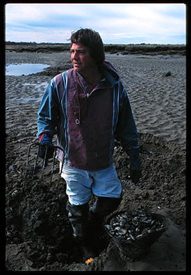 The Clam Digger - a poem by dlbrown - All Poetry