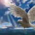 Tequila and Salt - a poem by SpiritMother - All Poetry