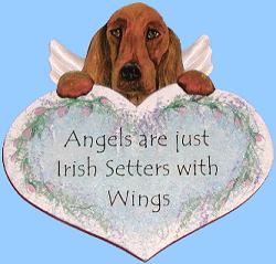 D.C. The Irish Setter - a poem by SEA angel - All Poetry