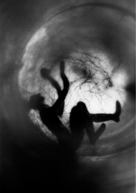 Pathway Stranger - a poem by Every Once - All Poetry