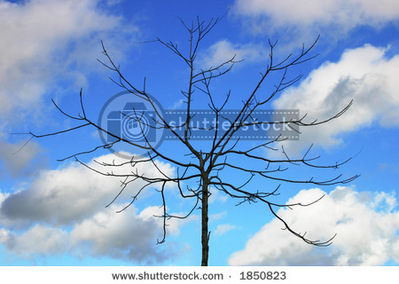 And the leaves came tumbling down - a poem by Griswold - All Poetry