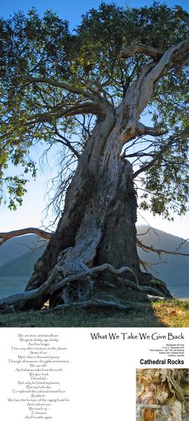 Stoic Poems - Modern Award-winning Stoic Poetry : All Poetry