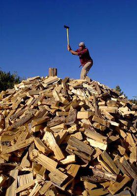 Splitting Wood - a poem by Balldinger - All Poetry