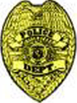 The Badge - a poem by CharlesAJohnson - All Poetry