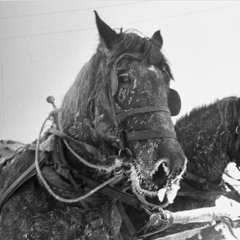 Archibald Lampman - Poems by the Famous Poet - All Poetry