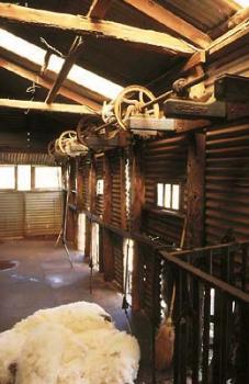 Shearing's Coming by David McKee Wright - Famous poems, famous poets ...