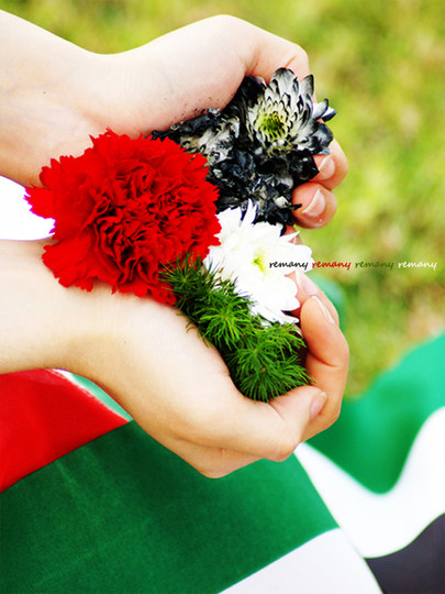 UAE national day - a poem by im just human - All Poetry