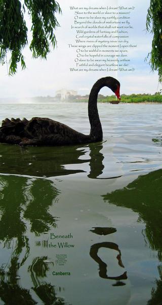 Mission Poems - Modern Award-winning Mission Poetry : All Poetry