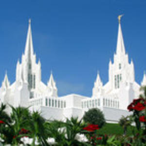 Animal Cell Poem - this is for school - a poem by CalledtoServeHim ...