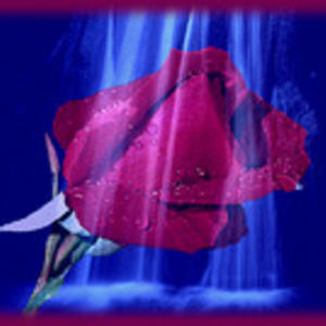 Unity In Diversity - a poem by Black Swift - All Poetry