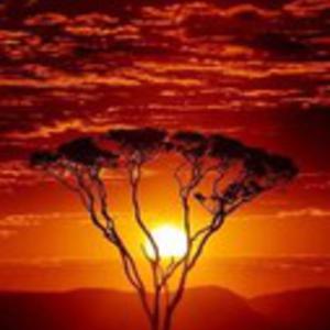 [ From the womb to the tomb, ] - a poem by ThePoetX - All Poetry