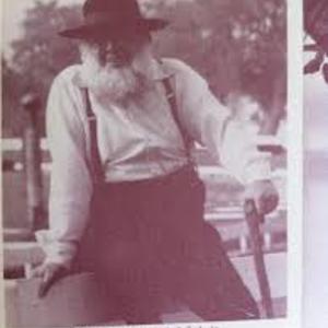 The Steam-Engine by Henry Ellison - Famous poems, famous poets. - All ...