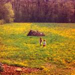 Percy Fox - poet at allpoetry