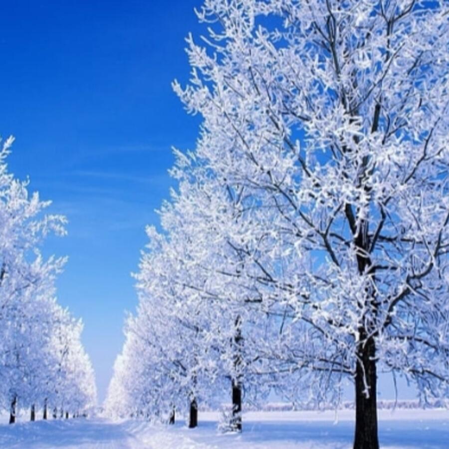 Ss poetry - poet at allpoetry