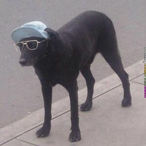 Contemporary Earth - a poem by Im-a-poet-you-know-it - All Poetry