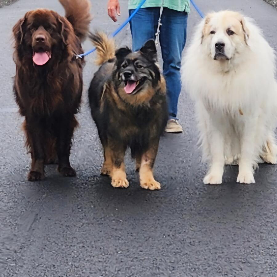 [ evolution ] - a poem by Ymmij - All Poetry