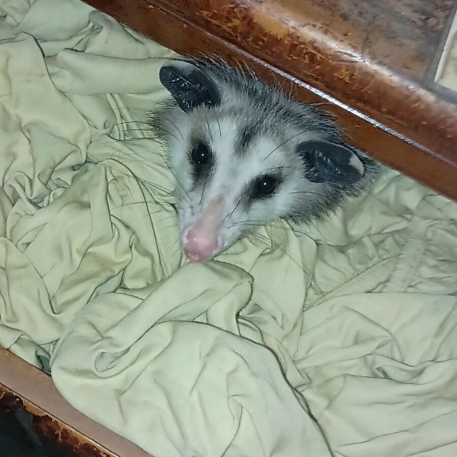 Errored777 - poet at allpoetry