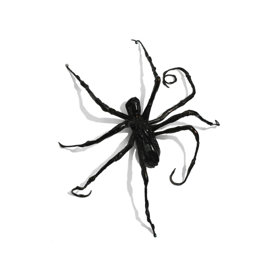 Spoodz the spider - poet at allpoetry