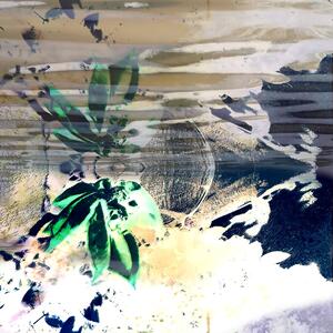 Describing color to the blind - a poem by Ilex Ater - All Poetry