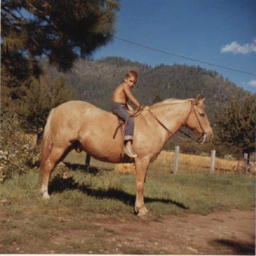 Hans Ostrom - poet at allpoetry