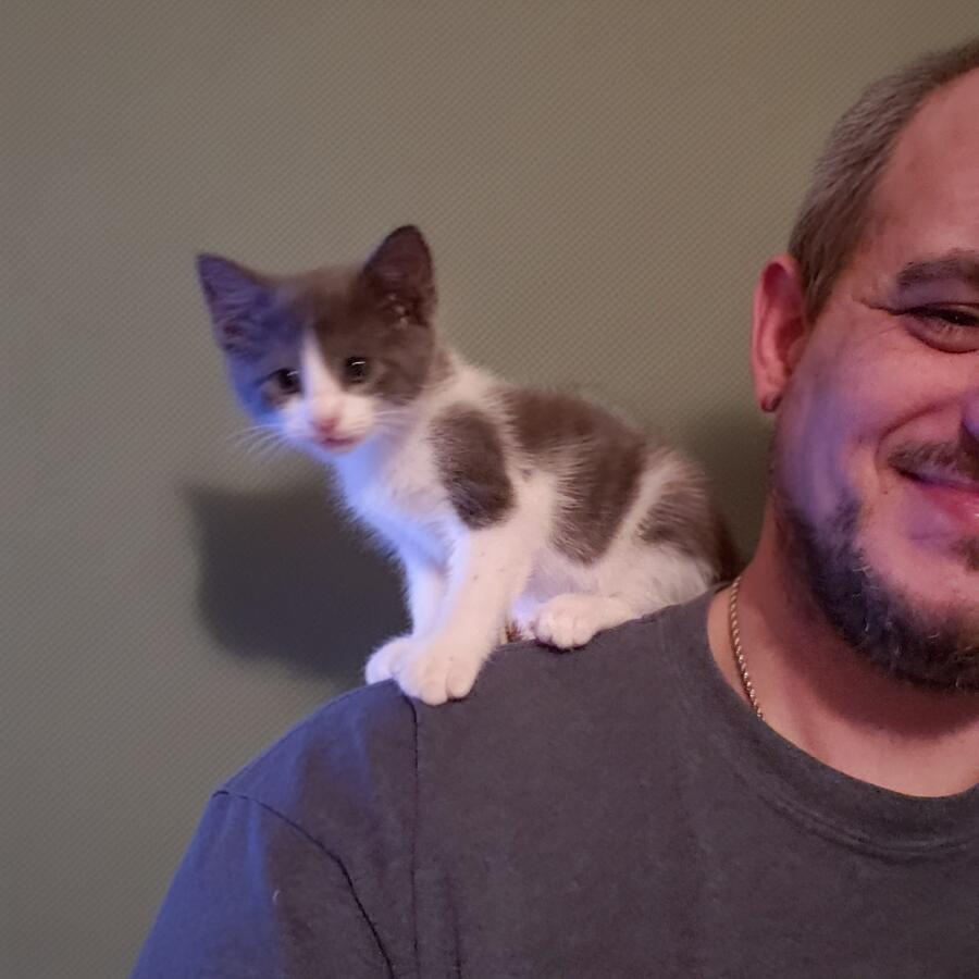 Jason Michie - poet at allpoetry