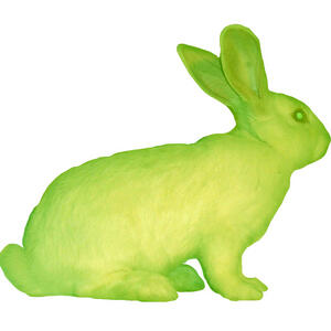 Green-rabbit - poet at allpoetry