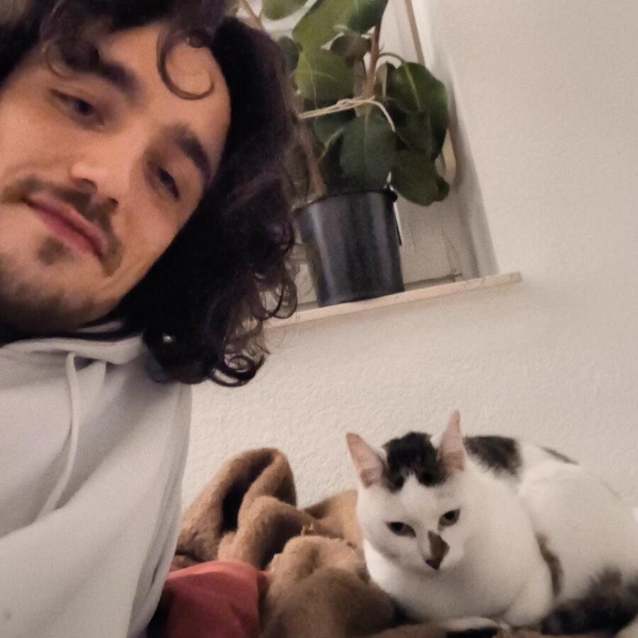 David the druid - poet at allpoetry