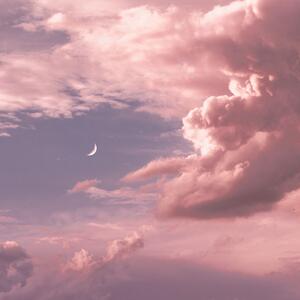 Ann ning - poet at allpoetry