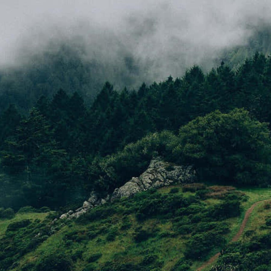 Puppet - a poem by jade97 - All Poetry