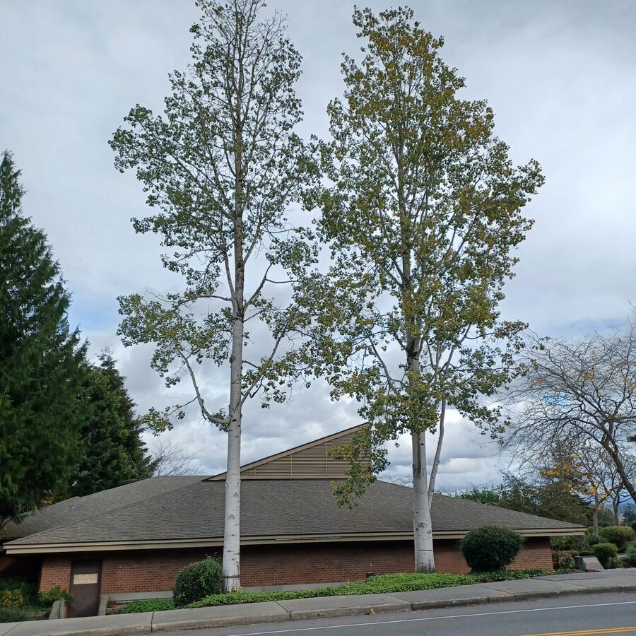 Max Juedeman - poet at allpoetry