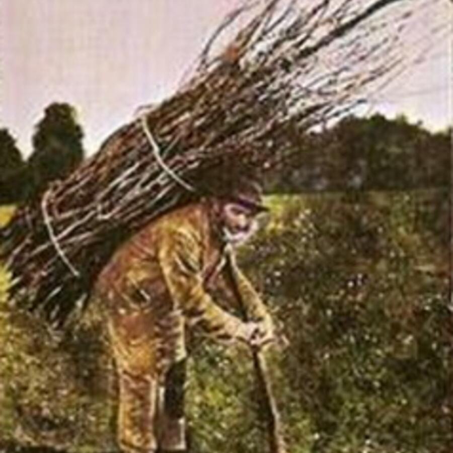 And you thought it was a caravan - a poem by Razzerleaf - All Poetry