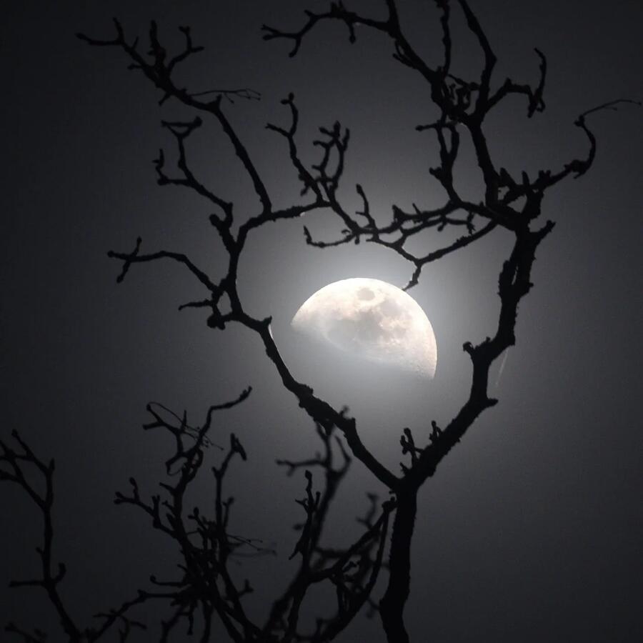 Oliver Eden - poet at allpoetry