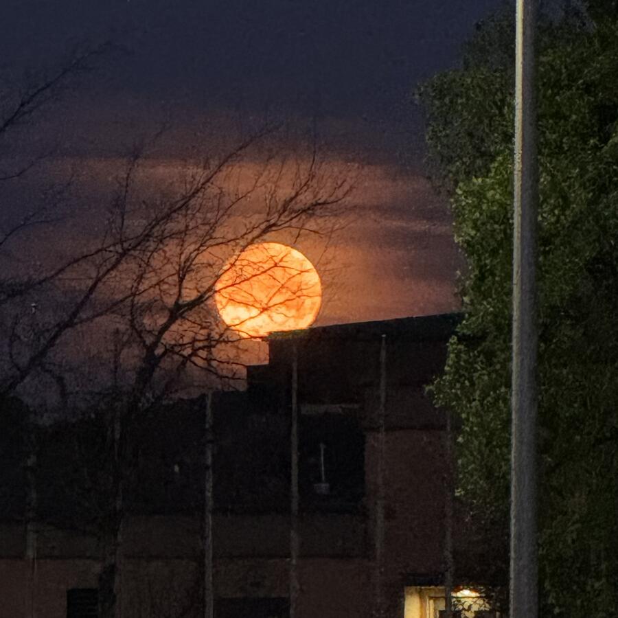 Thewanderingnomad - poet at allpoetry