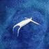 The Panther by Rainer Maria Rilke - Famous poems, famous poets. - All ...