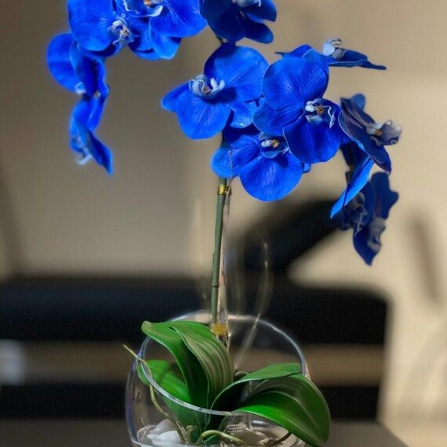 Israa Boulaares - poet at allpoetry