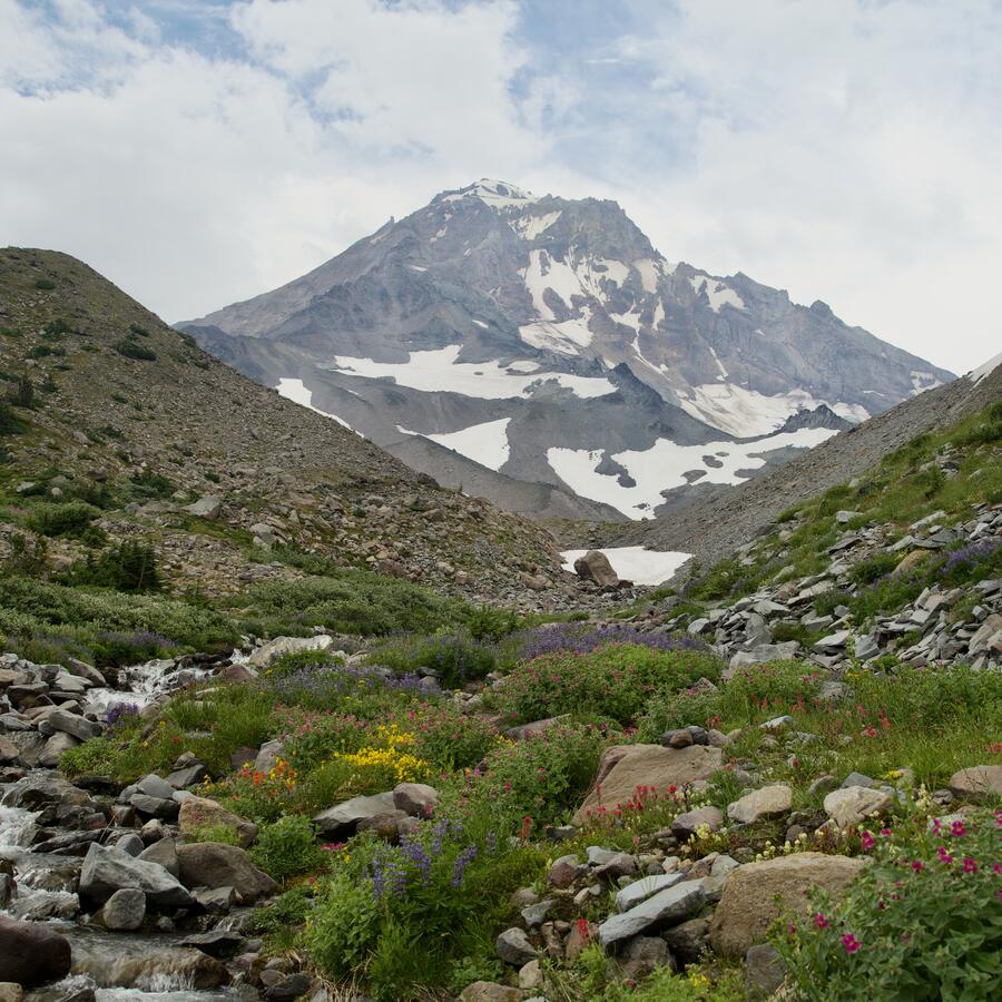 Robert Swenson - poet at allpoetry