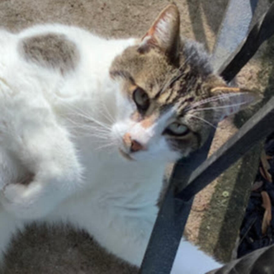 Mia Binder - poet at allpoetry