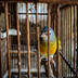 The Ballad Of The Landlord by Langston Hughes - Famous poems, famous ...